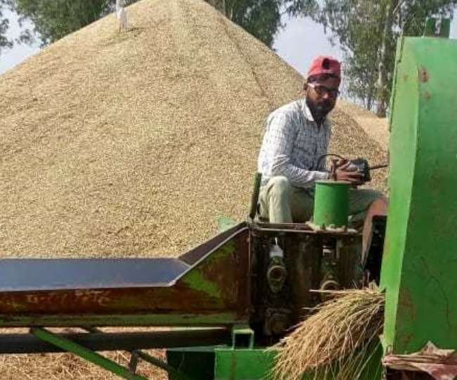 हरियाणा के धान उत्पादक किसानों की बल्ले-बल्ले, पराली से भी हो रहे ...