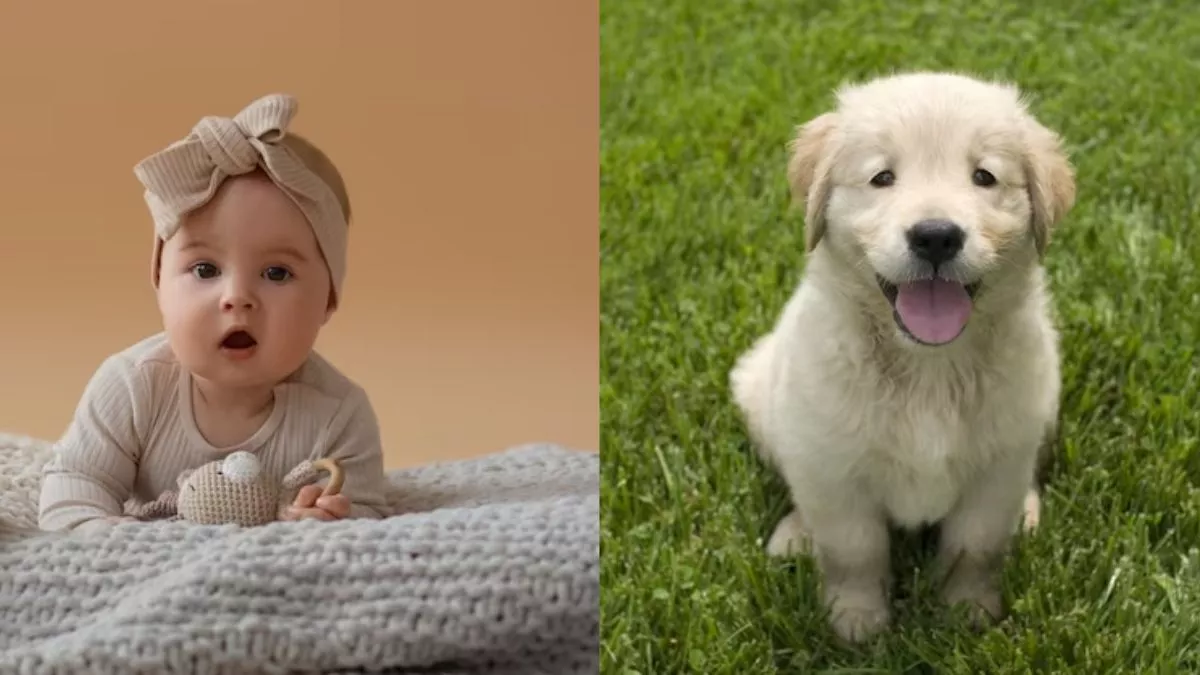 Cute Aggression: किसी बच्चे को देख करता है उसके गाल खींचने का मन, तो आप ...