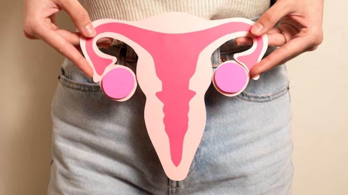Double Uterus क्या हो सकते हैं एक महिला के दो यूटेरस जानें डबल यूटेरस