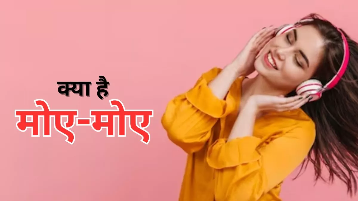 Moye Moye: क्या है यह मोए मोए गाना, जिसने सभी को बना दिया है अपना ...