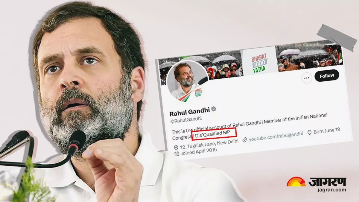 Rahul Gandhi Twitter: कांग्रेस नेता राहुल गांधी ने बदला ट्विटर बायो, लिखा- 'Dis'Qualified MP ...