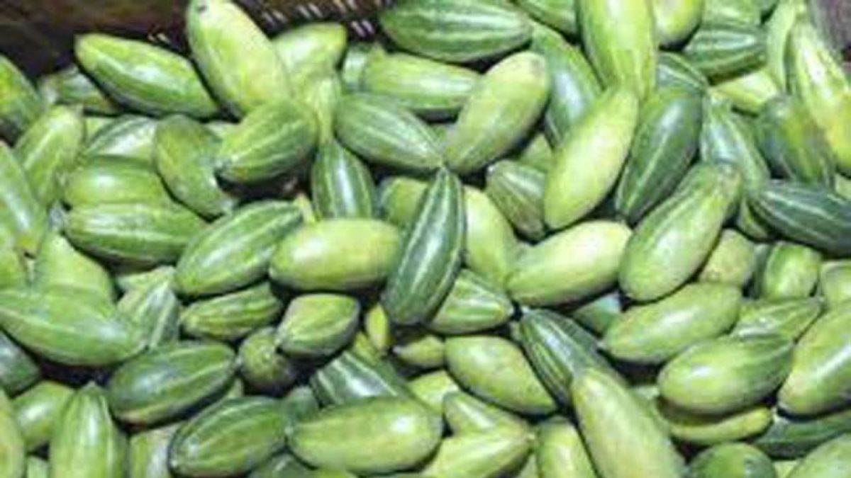 Parwal Benefits: कब्ज की समस्या से लेकर वजन घटाने तक, गर्मियों में परवल ...