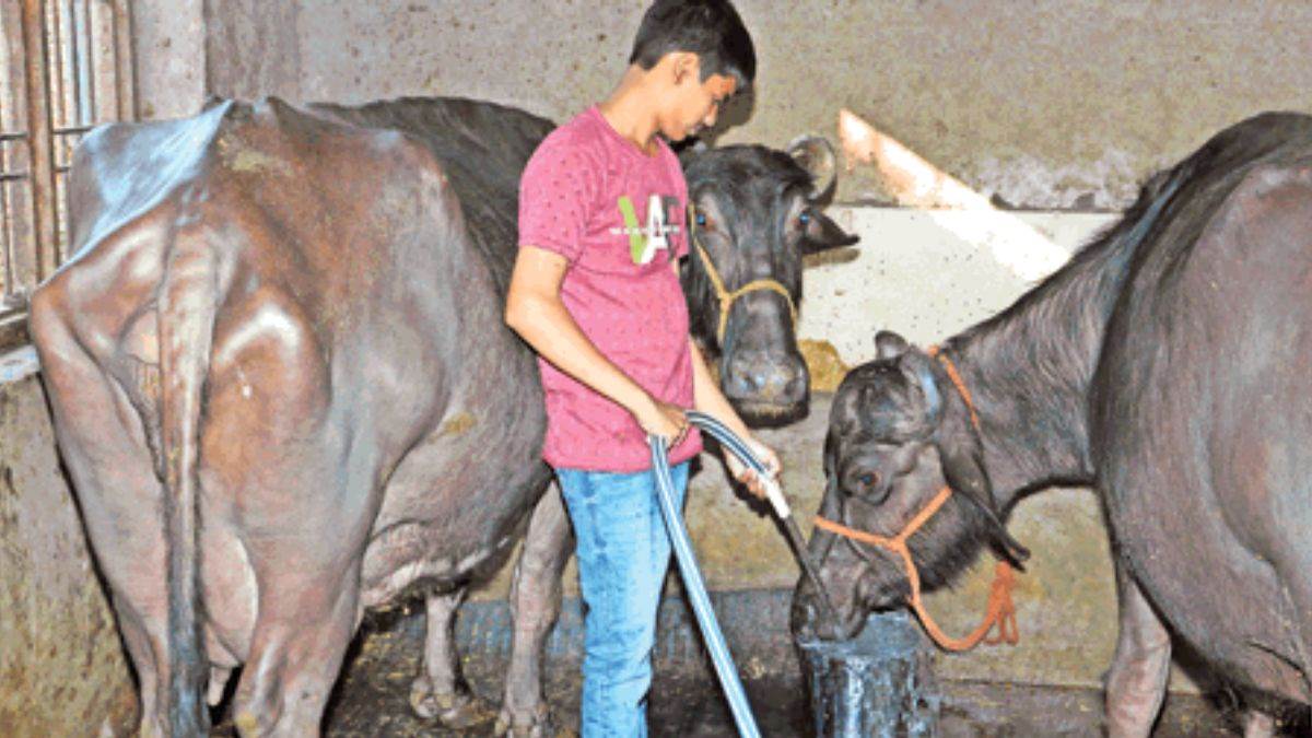 Shamli Topper Story: शतरंज के खिलाड़ी ने मारी हाईस्कूल में बाजी, पढ़ाई ...