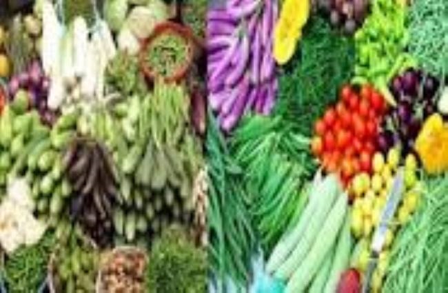 जिले में उपजेंगी विदेशी प्रभेद की सब्जियां, सरकार करेगी मदद - Foreign ...