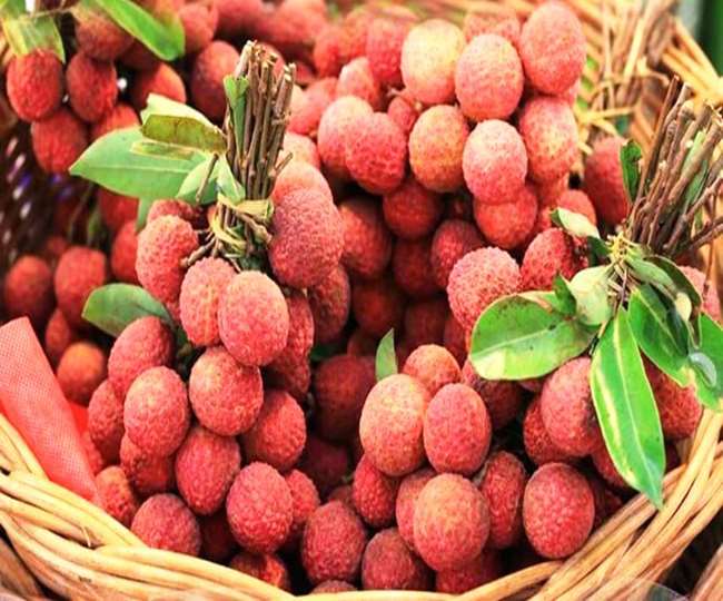 Home Delivery of Shahi Lichee : इस प्रक्रिया को अपनाकर आज से आप घर बैठे ...