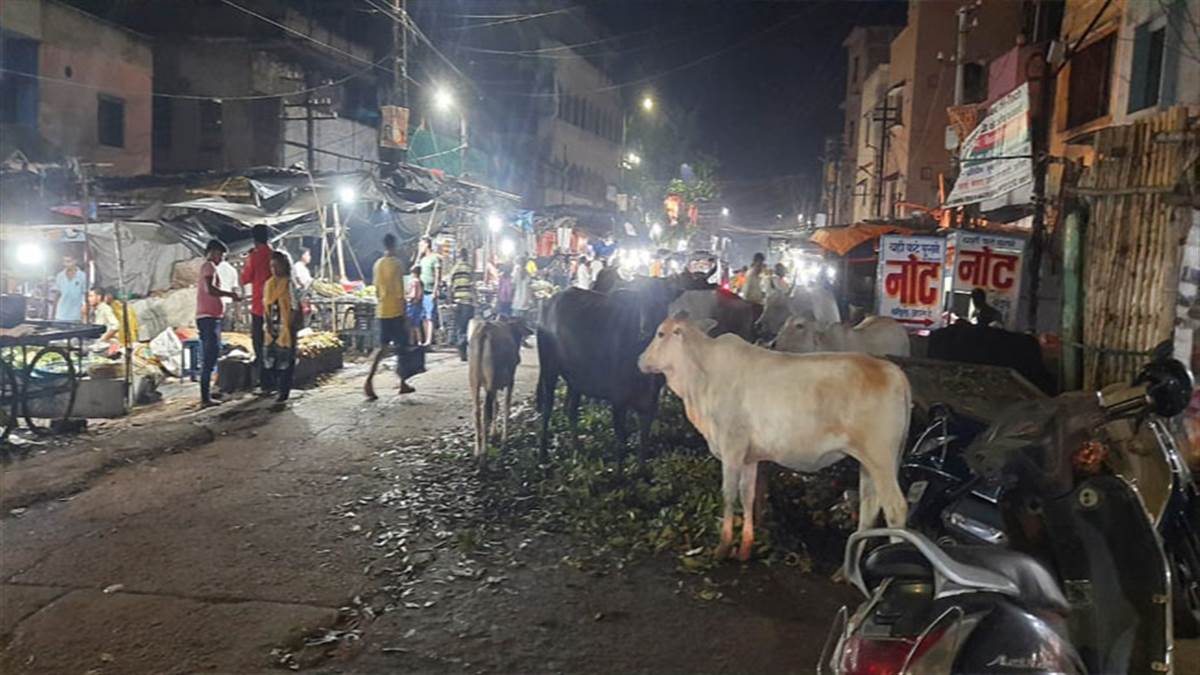 Dhanbad झरिया में लगा रहता है कचरों का अंबार बारिश के मौसम ने खोल दी ...