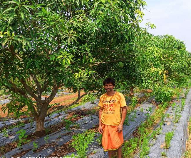 बारिश का पानी रोक हो रहे मालामाल, टपक सिंचाई से कर रहे आम-अदरक-ओल की ...