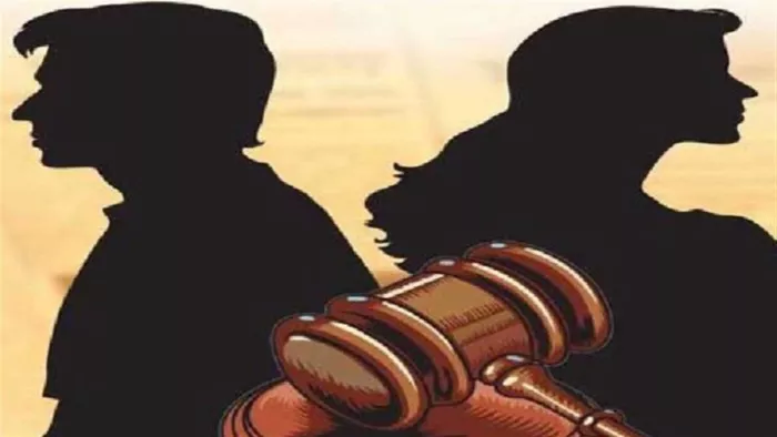 इलाहाबाद हाई कोर्ट का अहम आदेश- पति अपनी पत्नी का भरण-पोषण करने से नहीं ...
