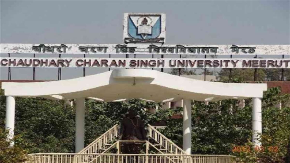 CCS University Admission 2022: एक सीट पर औसतन चार दावेदार, शनिवार को ...