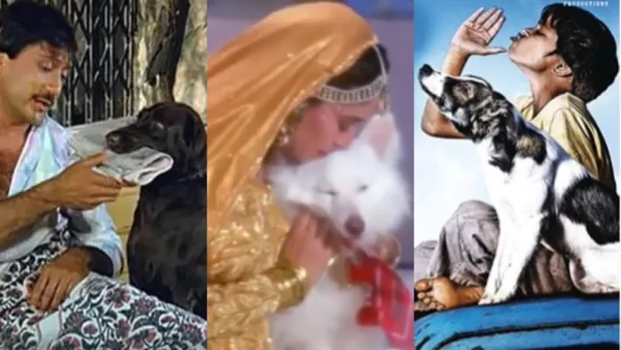 International Dog Day: फिल्मों में किसी हीरो से कम नहीं रही इन कुत्तों ...