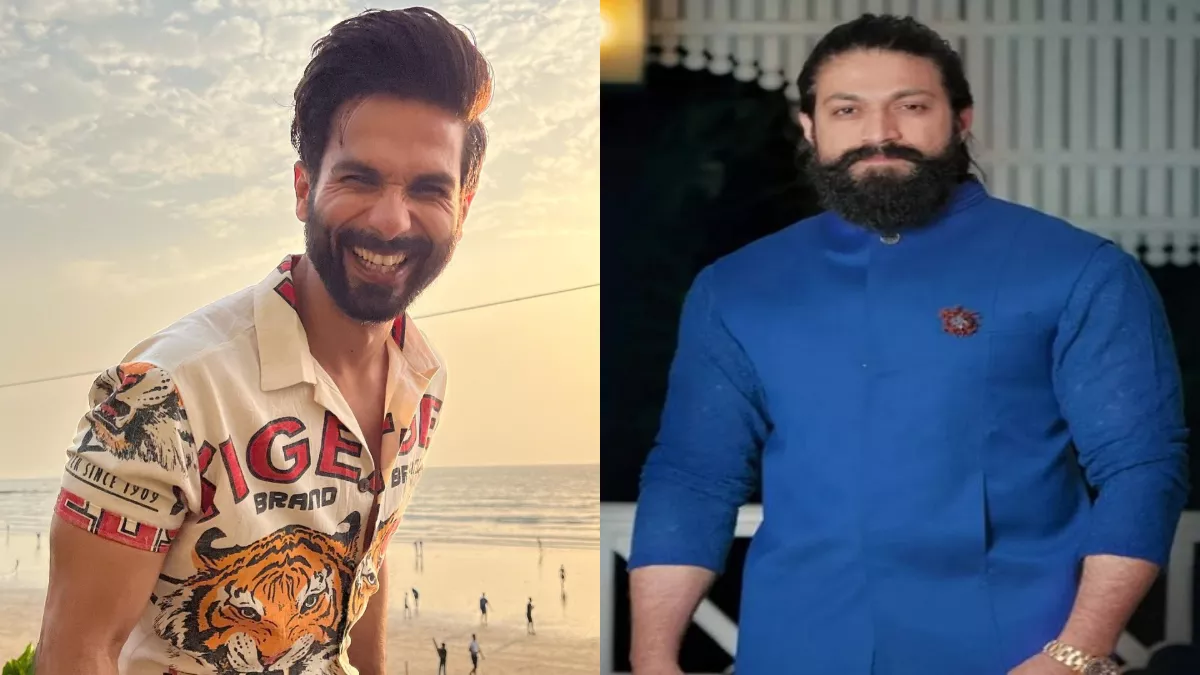 Yash Top Actor Of Film Industry: केजीएफ चैप्टर 2 के अभिनेता यश को शाहिद कपूर ने जानें क्यों ...