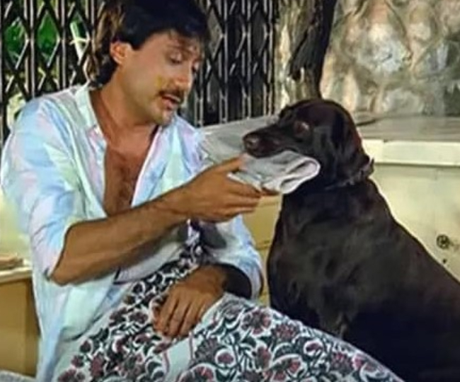 International Dog Day: फिल्मों में किसी हीरो से कम नहीं रही इन कुत्तों ...