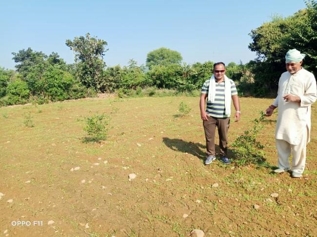 कंडी क्षेत्र की मिट्टी उपयोगी किसानों का रुझान अब बागवानी में