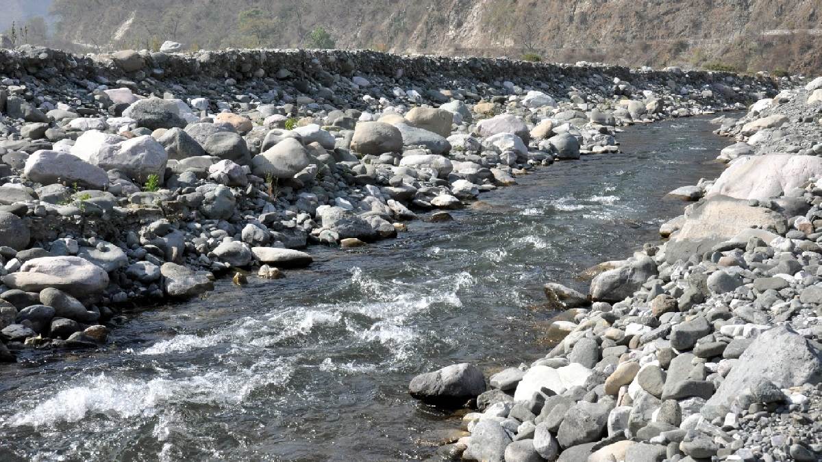 Jamrani Dam: दिल्ली-दून से निपट गया, 53 मामलों में मत अटकाना; श्रेणी ...