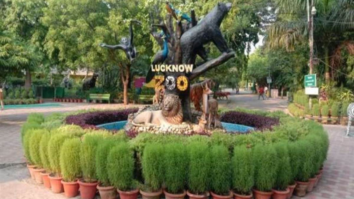 Lucknow Zoo: प्राणि उद्यान के 101 पायदान, एक नजर में पढ़ें बनारसी बाग ...