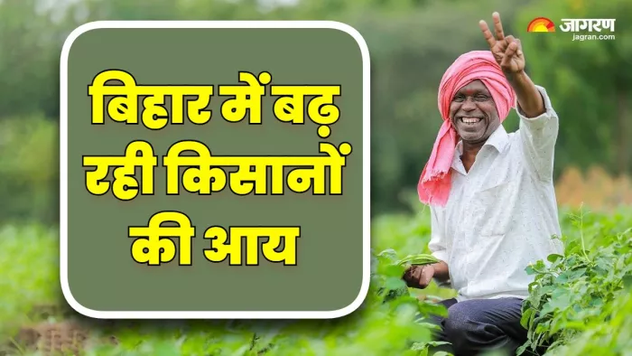 Bihar Farmers: सिमटते खेतों में बो रहे समृद्धि के बीज, फलने-फूलने लगे ...