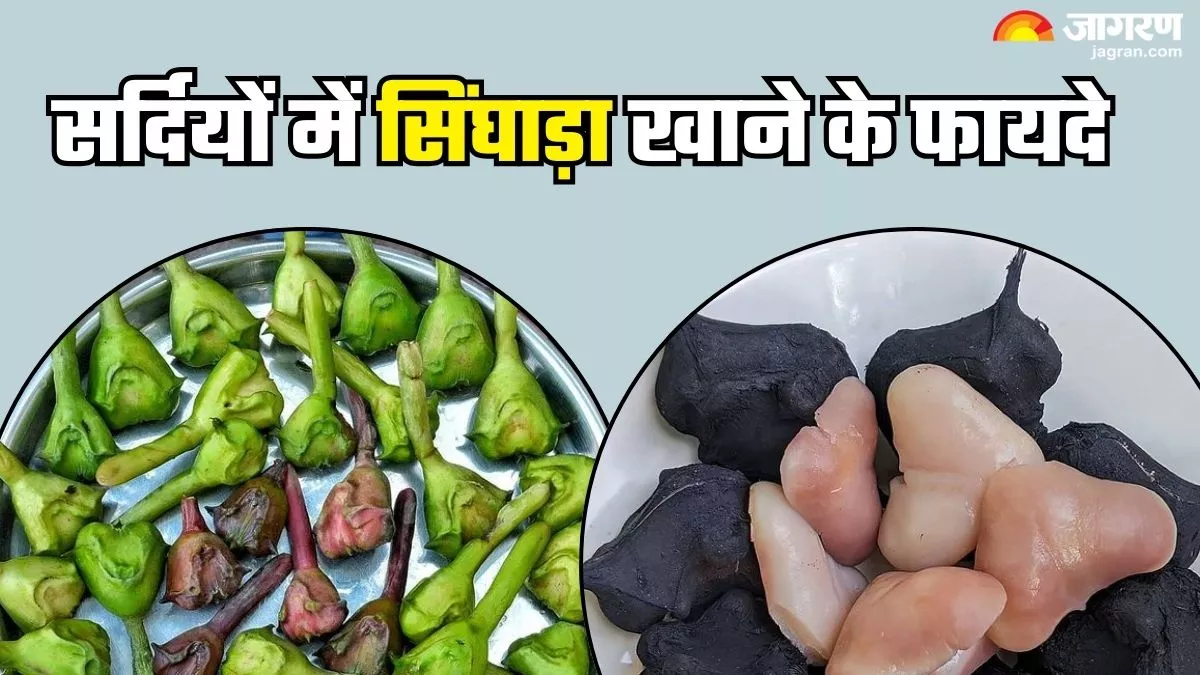 गुणों का भंडार है पानी में उगने वाला ये छोटा-सा फल, फायदे इतने की खुद ... गुणों का भंडार है पानी में उगने वाला ये छोटा-सा फल, फायदे इतने की खुद ...