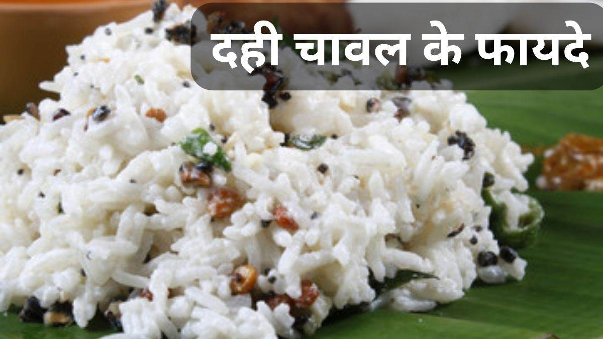 Curd Rice Benefits: वेट लॉस का हेल्दी ऑप्शन है दही-चावल, जानें इसके 5 ...