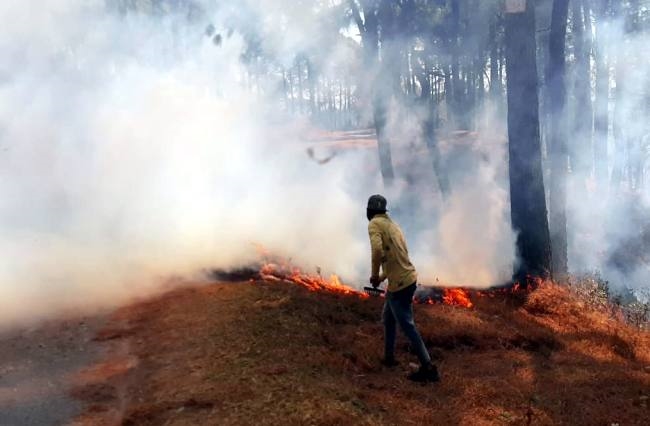 रानीखेत स्थित डोबरा के जंगल में लगी आग - Dobra forest fire in Ranikhet ...