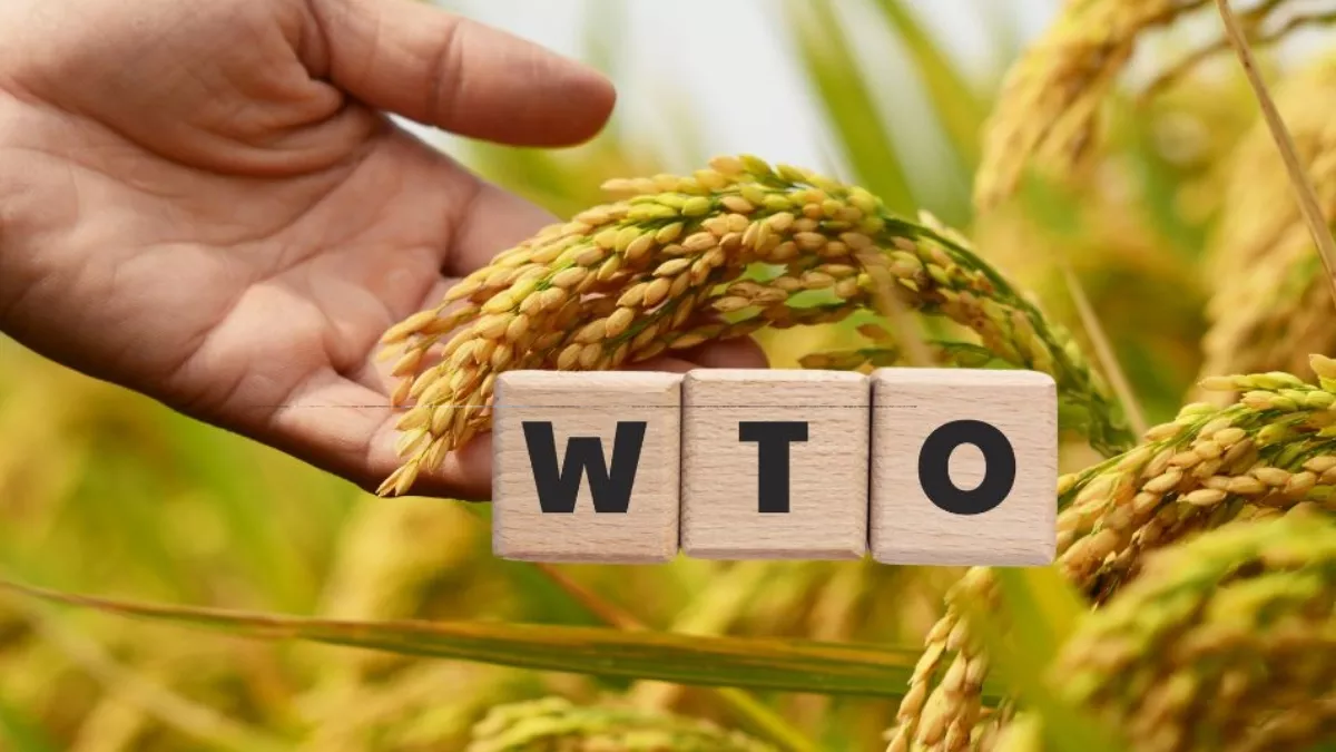 MC13 WTO: किसानों को दी जाने वाली सब्सिडी फॉर्मूले को हर हाल में ...