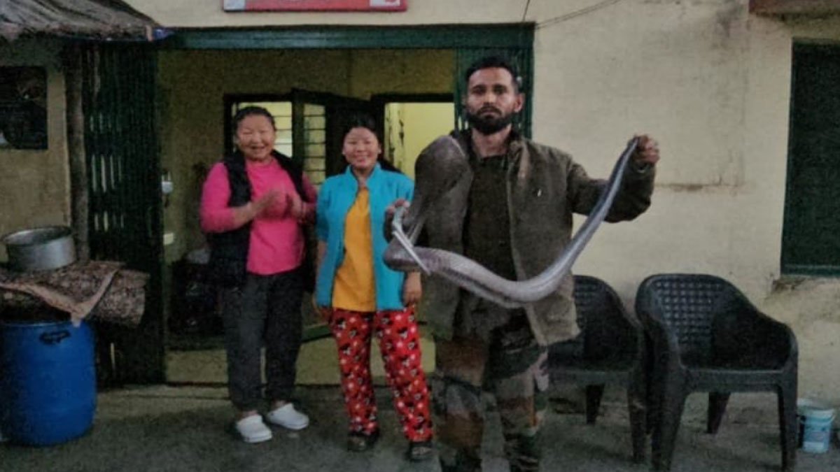उत्तराखंड के इस शहर में 11 प्रजातियों के सांपों का आतंक, नाग के काटने ...