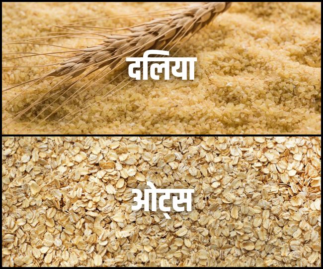 Oats vs Dalia: ओट्स या दलिया, वजन घटाने के लिहाज से किसे खाना है ज्यादा ...