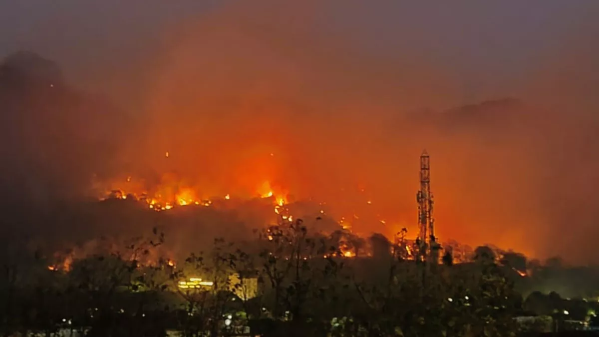 Uttarakhand Forest Fire: कोटद्वार में बेकाबू हुई जंगल की आग, काबू पाने ...