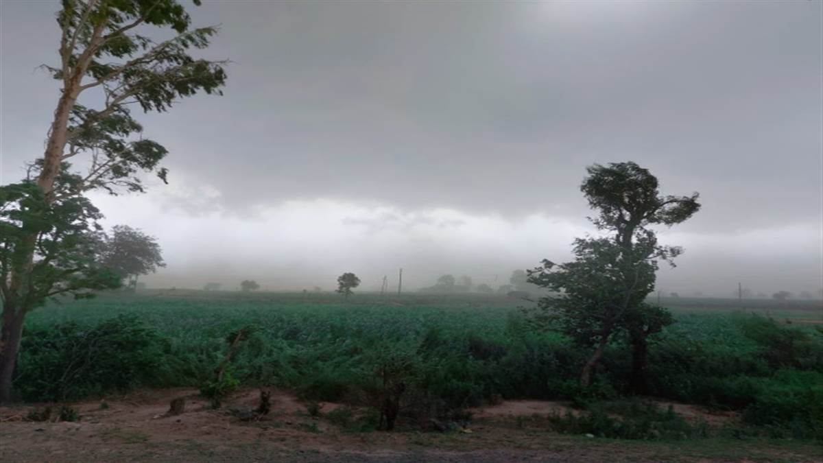 Aligarh Weather Forecast: अलीगढ़ में बदला मौसम, धूलभरी आंधी के साथ ...