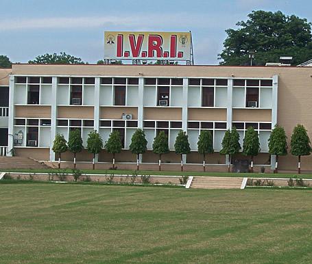 Bareilly IVRI News : आइवीआरआइ में संयुक्त निदेशक के अधिभार पर खफा हुए ...