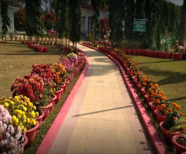 Jharkhand: देश के टॉप पार्क में शामिल होगा रांची का बायोडायवर्सिटी ...