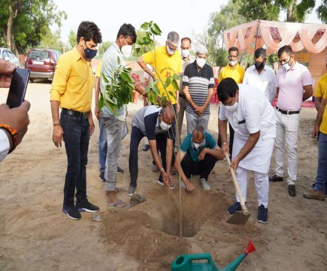 ग्रीन हिसार बनाने का सपना साकार करने के लिए नगर निगम ने बनाई ग्रीन ...