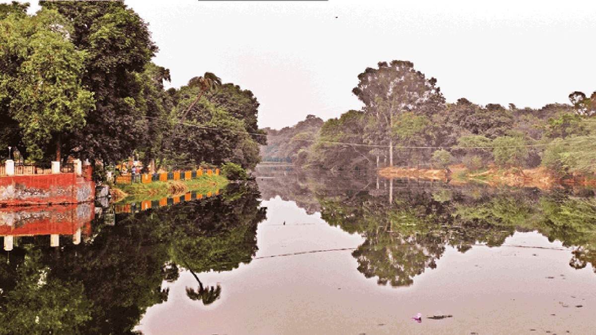 कांजली वेटलैंड की सुंदरता को लगा ग्रहण, विदेशी पक्षियों ने भी मुंह ...