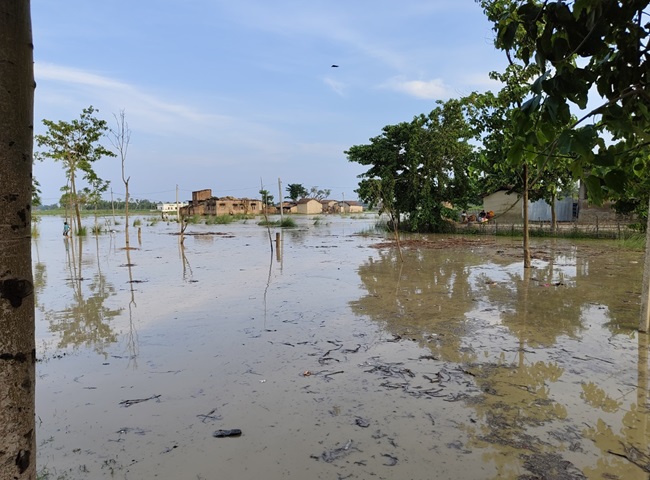Bihar Flood: बिहार में हरदी नदी उफनाई, सीतामढ़ी के कई गांवों में घुसा ...