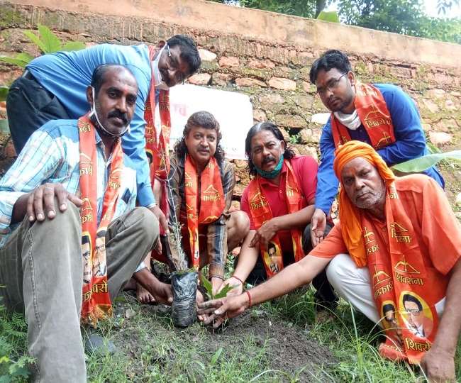 छोटा कैलास की पहाड़ी पर लगाए औषधीय महत्व के 101 पौधे, हर घर पेड़ संस्था ...