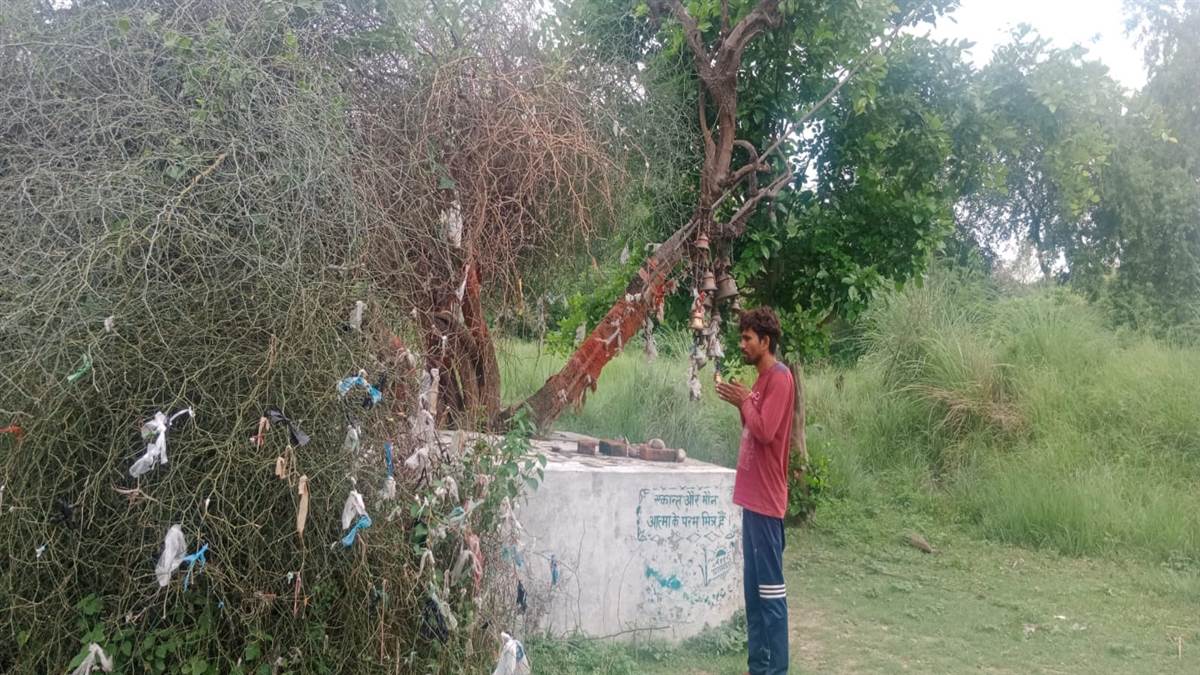 सावन में राम के प्रिय वृक्ष करील का भी दर्शन - Ramchar(39)s favorite ...