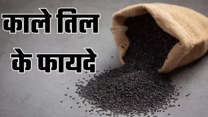 गुणों का भंडार होते हैं छोटे से काले तिल, डाइट में शामिल करने से मिलते ...
