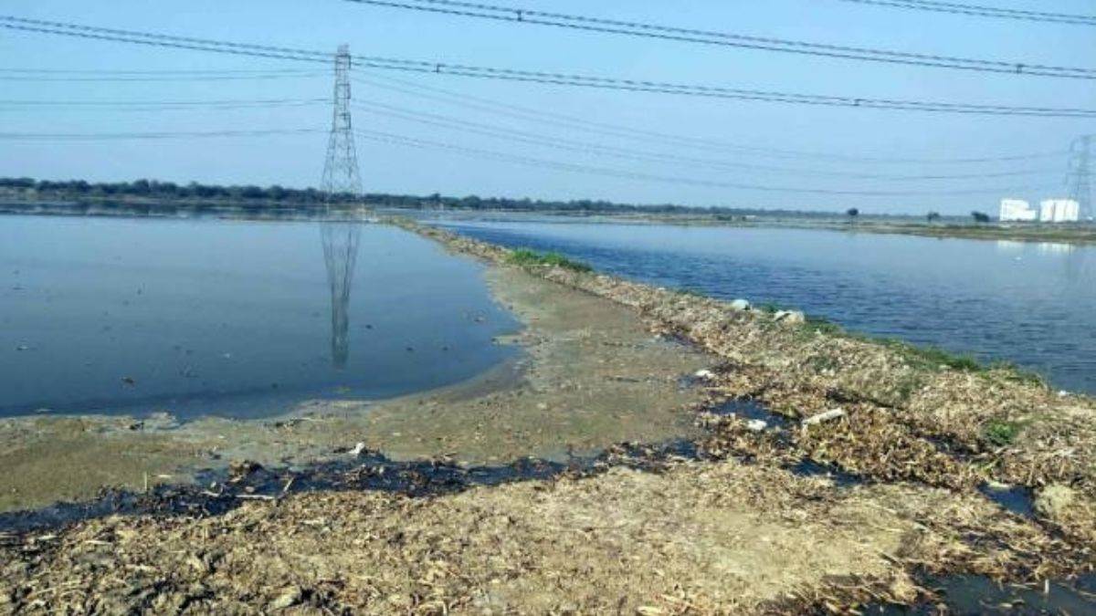 कभी गंदगी का पर्याय माने जाने वाली नजफगढ़ ड्रेन बनेगी Delhi के परिवहन ...