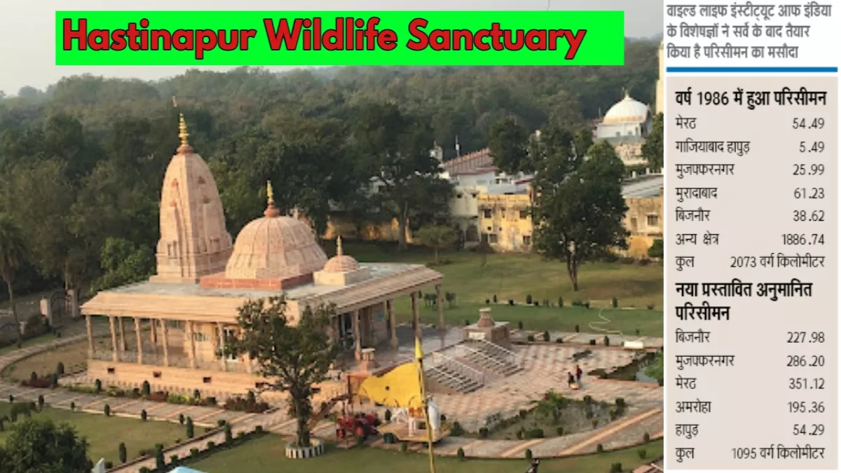 Hastinapur Wildlife Sanctuary: परिसीमन के बाद आधा रह जाएगा अभयारण्य का ...