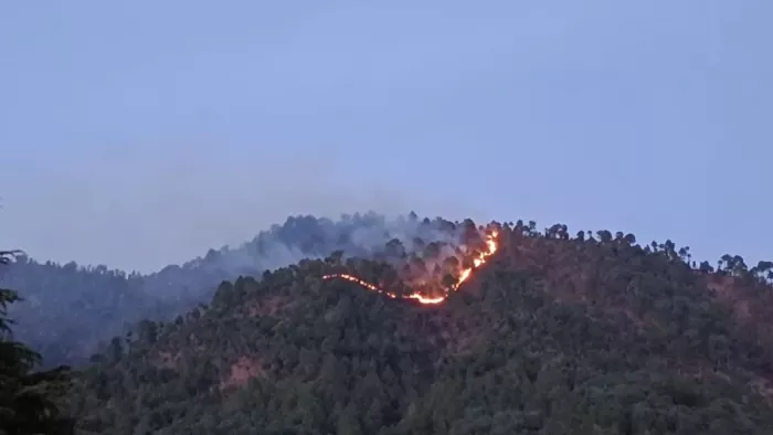 Uttarakhand: बर्फबारी के बीच दहक रहे उत्तराखंड के जंगल, अब यहां उठी आग ...