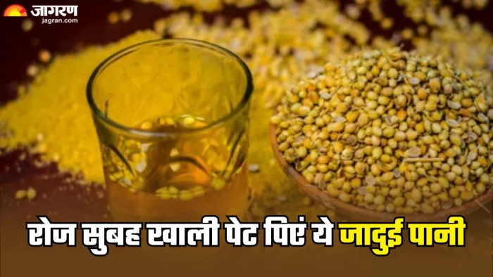 रोज सुबह खाली पेट लीजिए इस बीज का पानी, मिलेंगे इतने फायदे कि आसपास भी ...