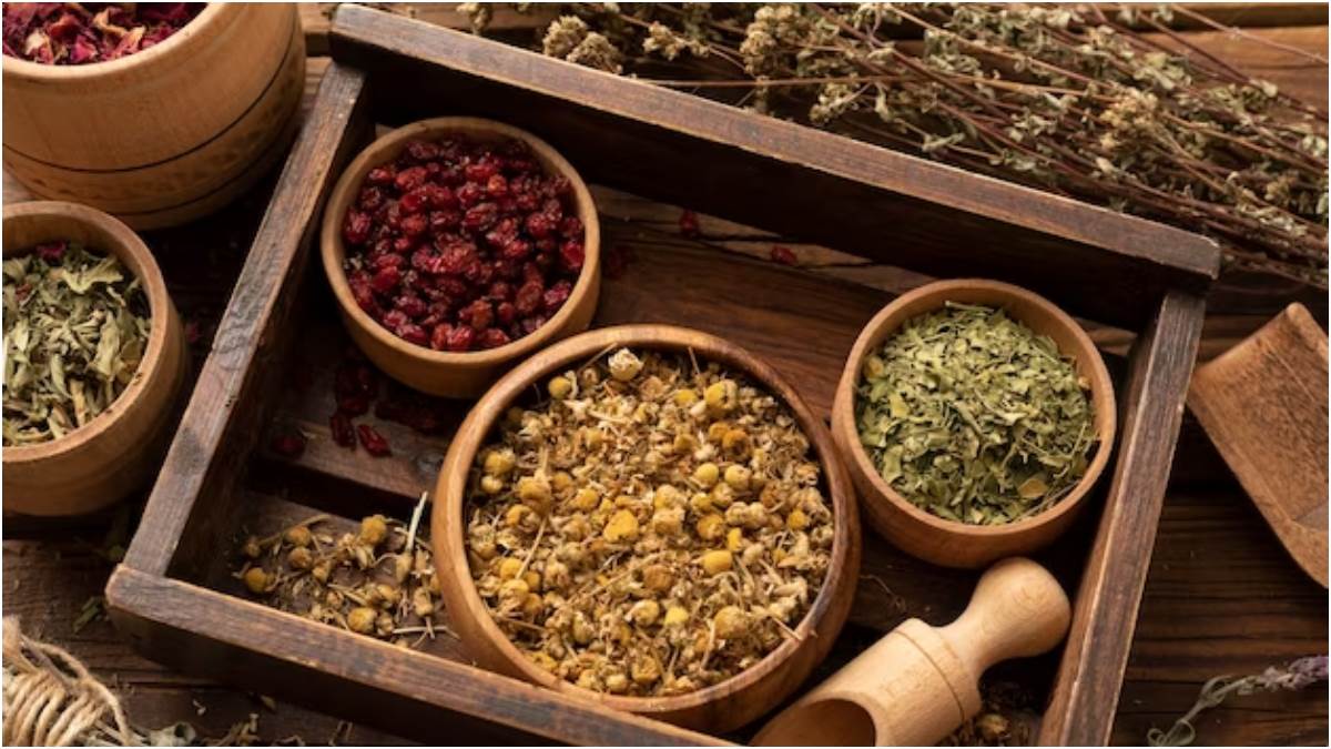 Herbs For Fertility: पुरुषों और महिलाओं में प्रजनन क्षमता को बढ़ाती हैं ...