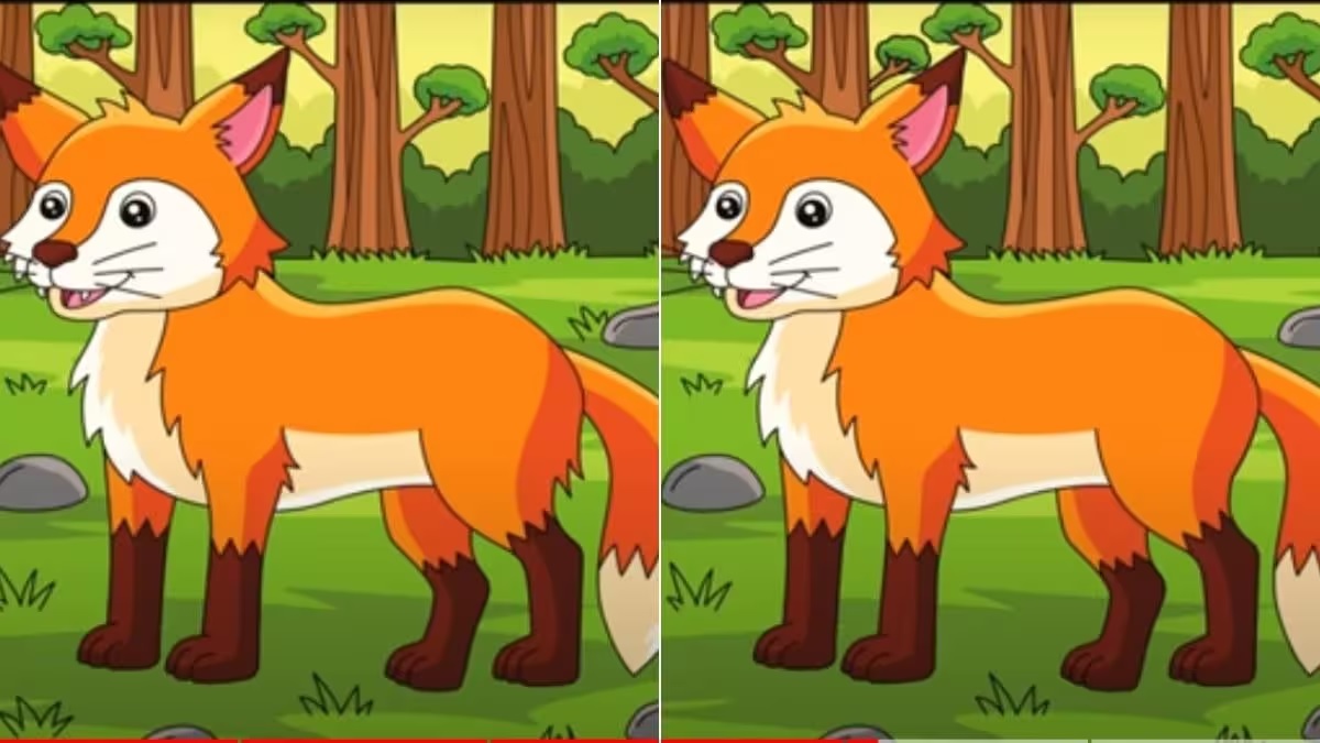 Spot The Difference सिर्फ अक्लमंद लोग ही तस्वीर में ढूंढ़ पाते हैं 5