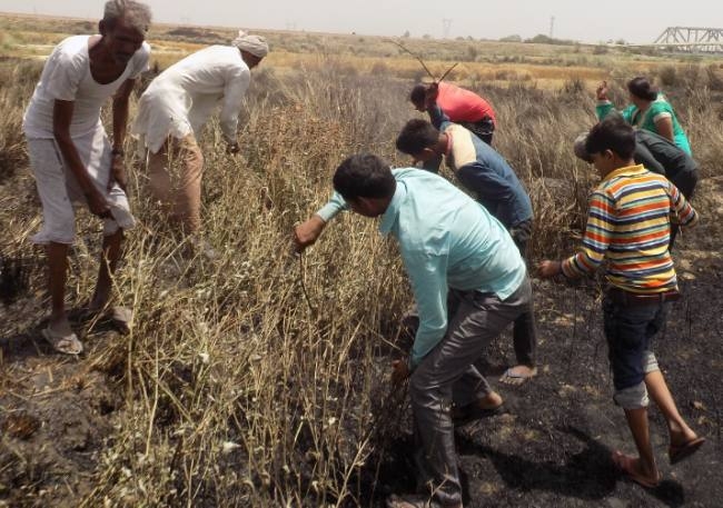हाईटेंशन लाइन की चिगारी ने फूंके किसानों के अरमान