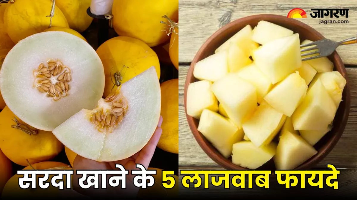 Sun Melon Benefits: बेहतर डाइजेशन से लेकर हेल्दी हार्ट तक, सरदा खाने के ...