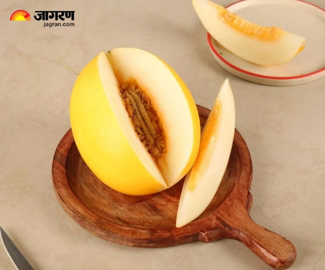Sun Melon Benefits: बेहतर डाइजेशन से लेकर हेल्दी हार्ट तक, सरदा खाने के ...