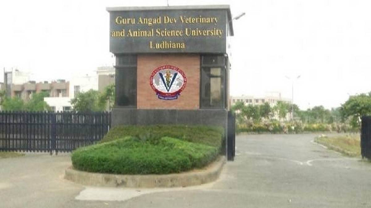 Punjab News: अब से पूरे नाम से जानी जाएगी गुरु अंगद देव वेटरनरी एंड ...