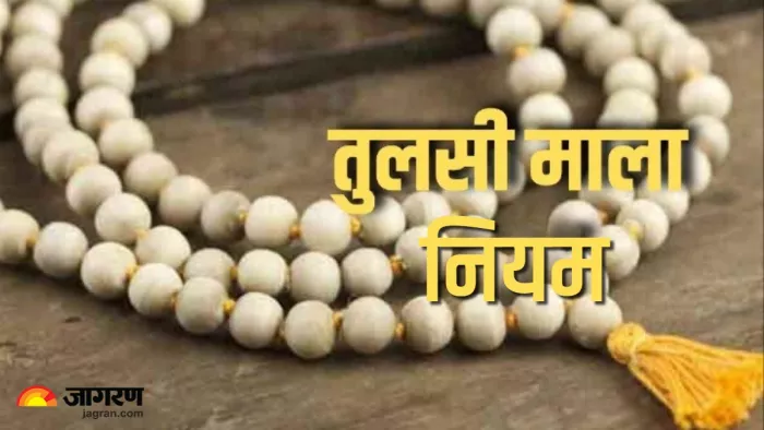 Tulsi Mala Rules: तुलसी की माला धारण करते समय ध्यान रखें ये नियम, ताकी ...