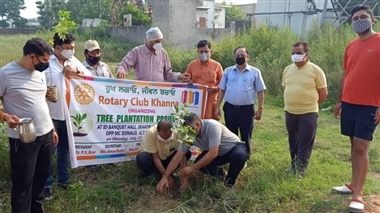 रोटरी क्लब व खत्री चेतना मंच ने किया पौधारोपण - tree plantation by ...