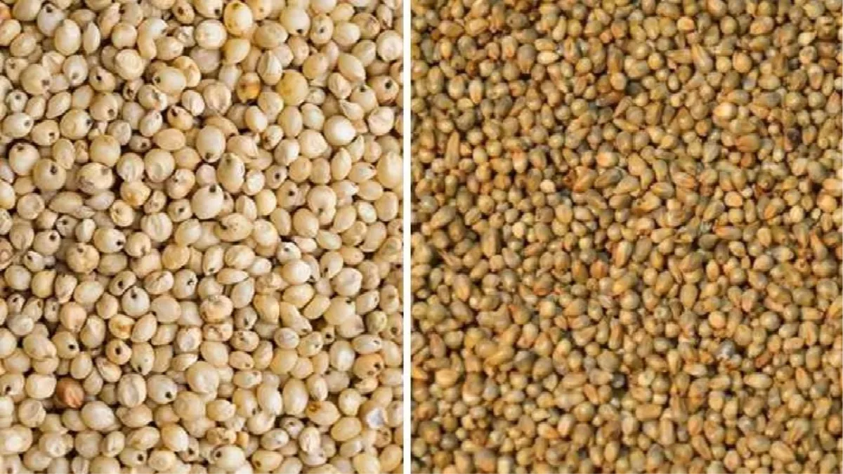 वैश्विक बाजार में घरेलू ज्वार, बाजरा और रागी के उत्पादों की होगी ...