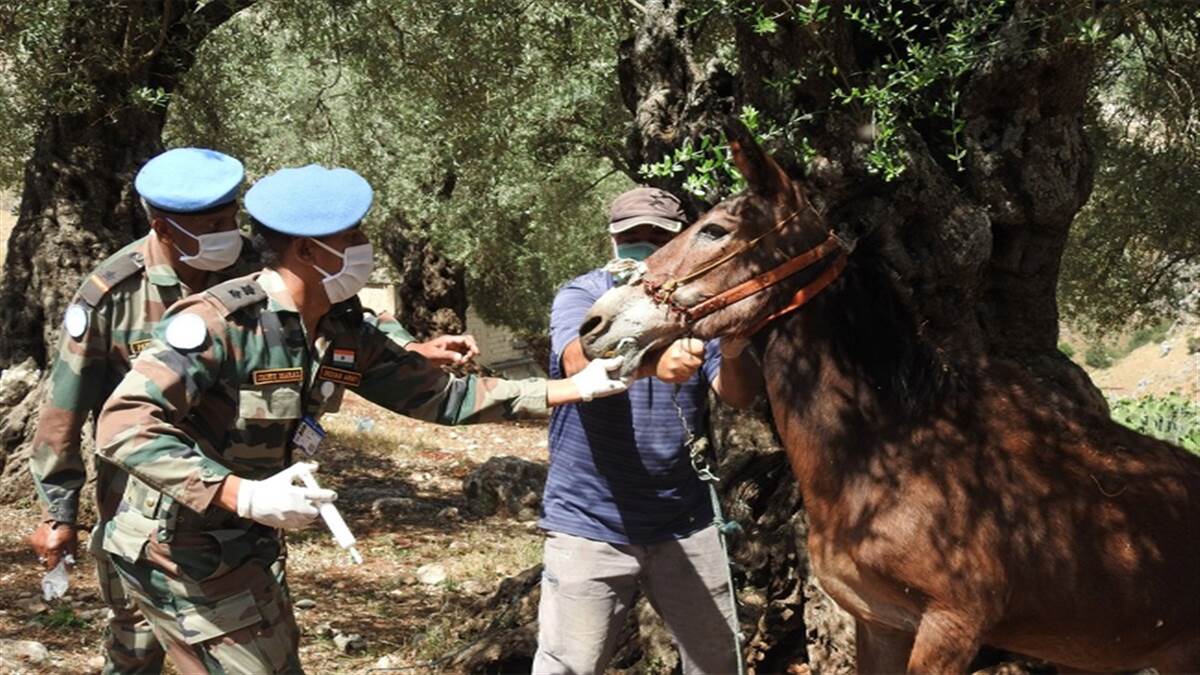 UN Peace Keeping Force: दुनिया भर में Blue Helmets के जरिए पहचाने जाते ...
